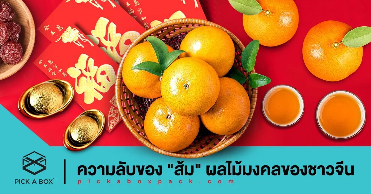 เทรนด์กล่องบรรจุภัณฑ์ Archives - Page 6 of 6 - Pick a Box Pack